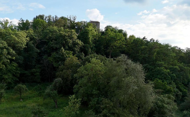 Apartment Am Kalsmunt - Wetzlar