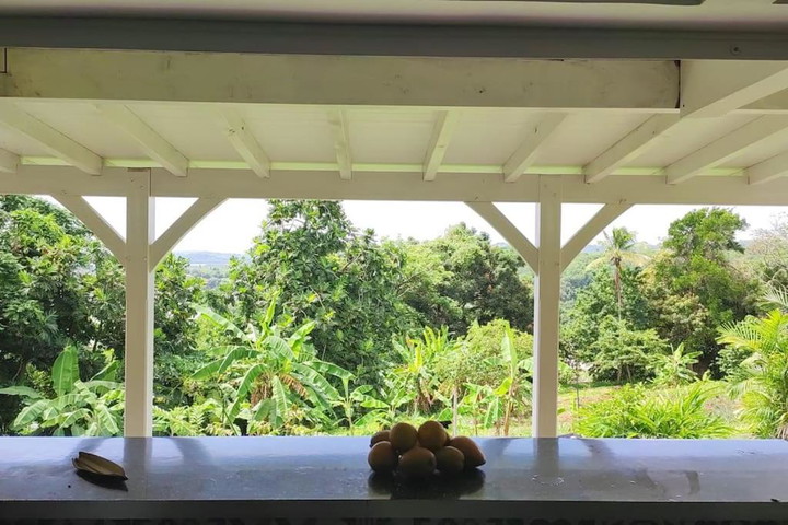 Appartement Spacieux, Soigné Et Tout Confort Sur La Trinité - Martinique