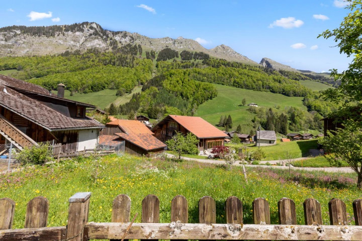 Famille Et Nature Dans Un Chalet Traditionnel - Zweisimmen