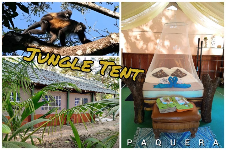 Fully Furnished Family Jungle Tent, Latino Glamping Paquera - Costa Rica