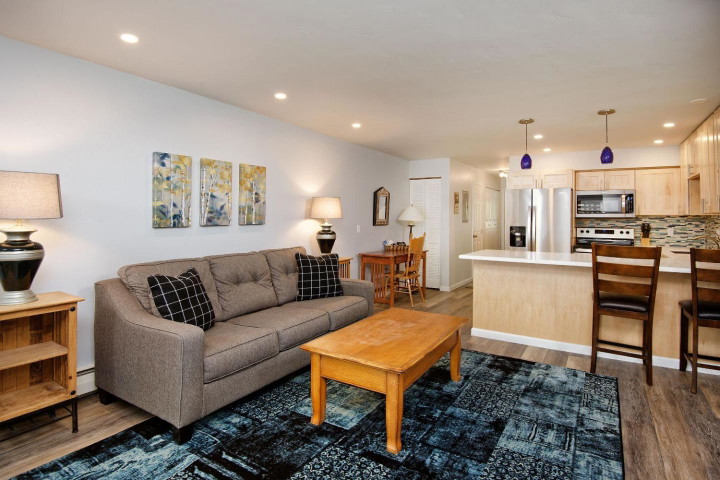 Modern Aspen Condo Private Deck With Koch Park Views - 2e - Aspen, CO