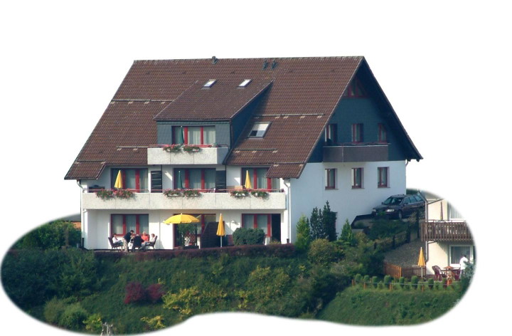 Haus Reimann - Harz