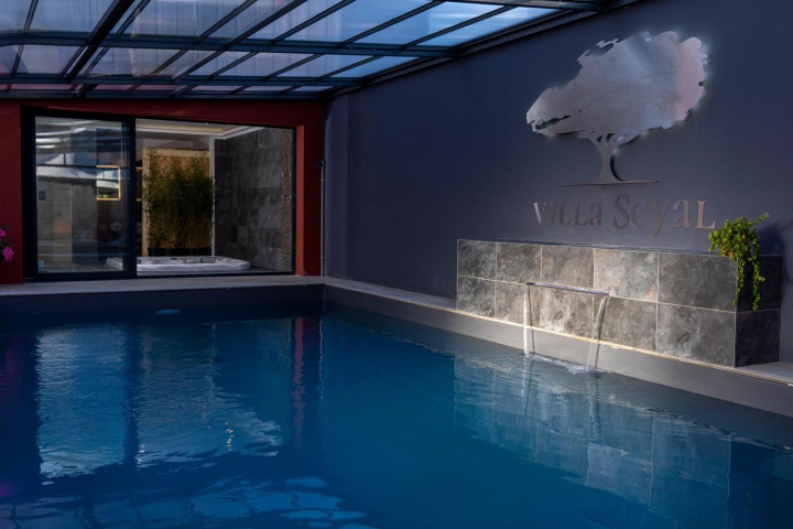 Villa Seyal - Avec Piscine - Jacuzzi - Sauna & Climatisation - Le Mans