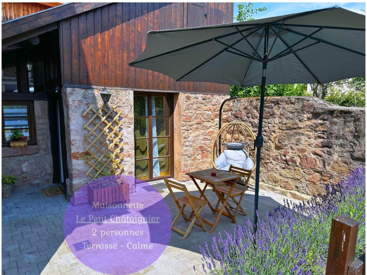 Le Petit Châtaignier - Cozy Immo - Sélestat