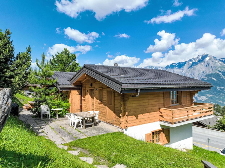 Chalet Chalet Dominique By Interhome - Nendaz