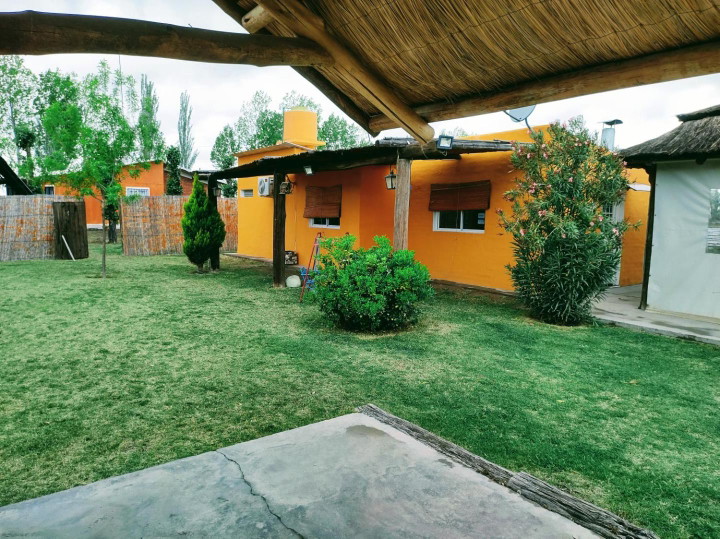 Finca El Gallego - Rivadavia