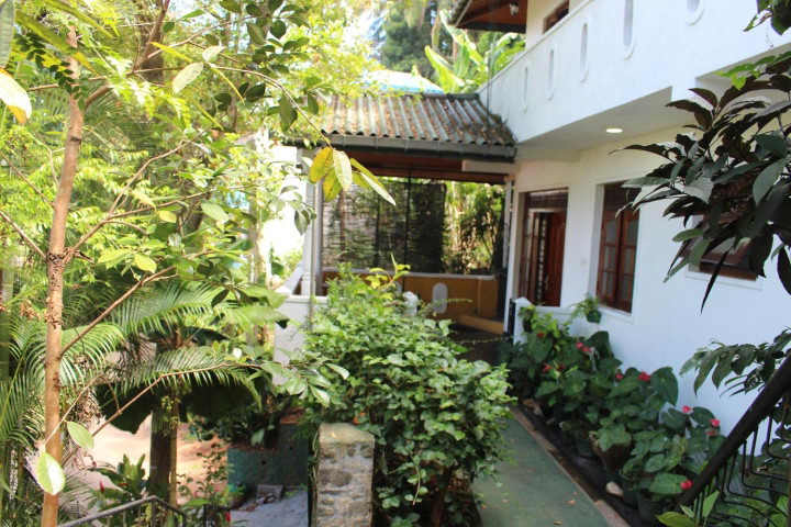 Alex Home Stay - 캔디