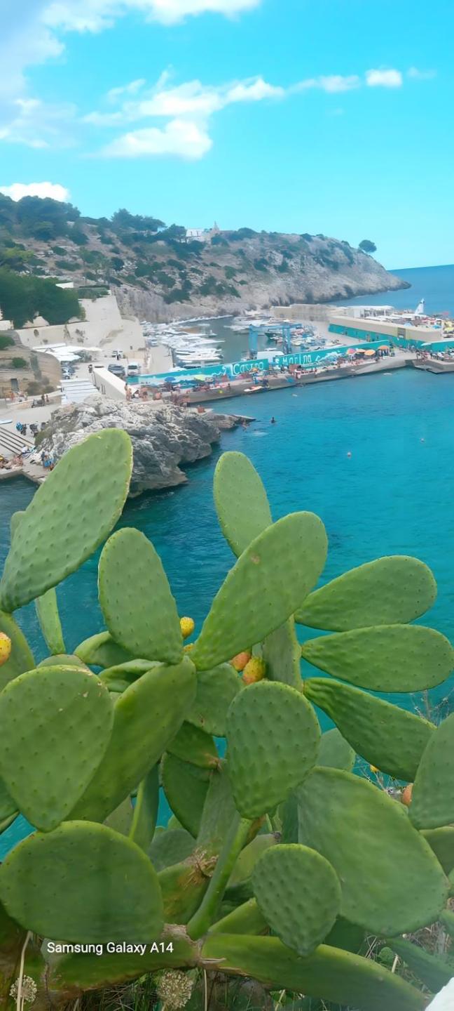 Casa Di Elisa - Santa Cesarea Terme