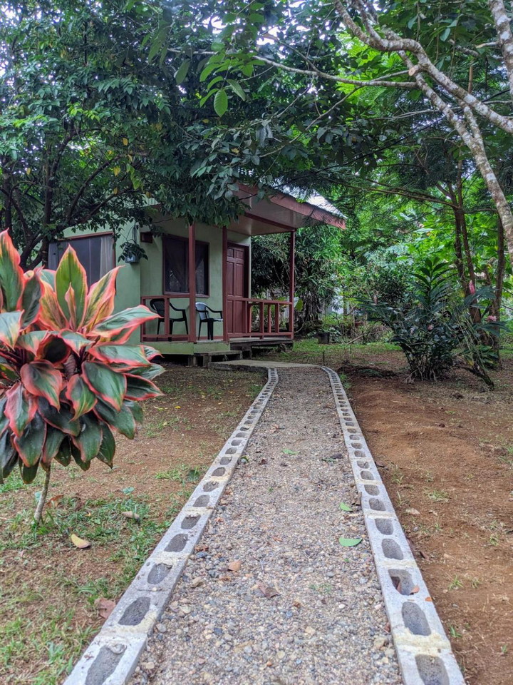 Ana Paraíso Entre Arboles - Costa Rica