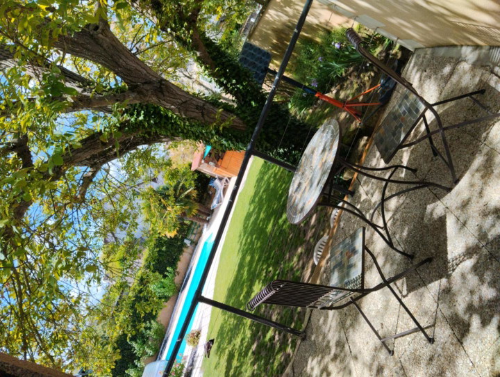 Les Dodos De Rose - Saumur