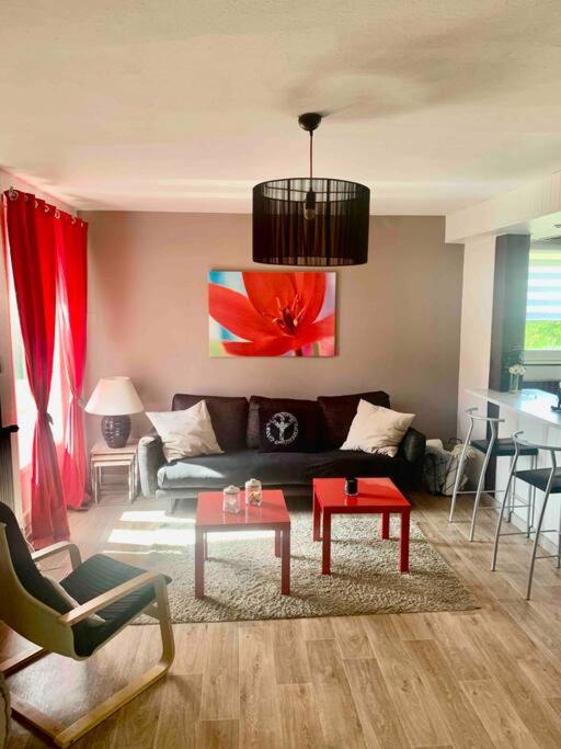Villa 3 Chambres Parking Et Terrasse - Colomiers