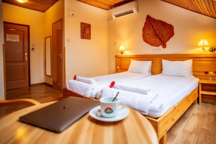 Hotel Manzard Panzio - Pest megye