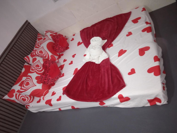 Sarah's Garden Bnb & Bnb Spa Sarah House Rental - Tubigon