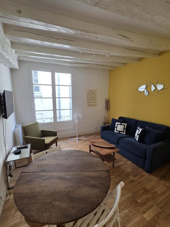 Magnifique Appartement Vieux Tours - Tours