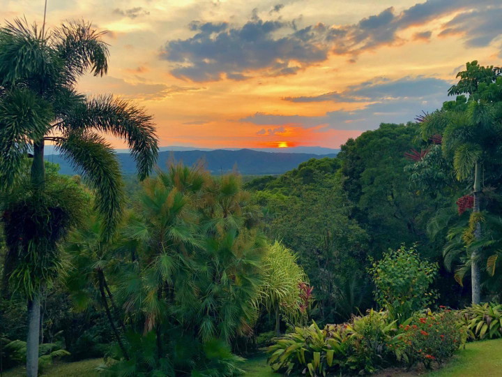 Daintree Manor B&b - Daintree