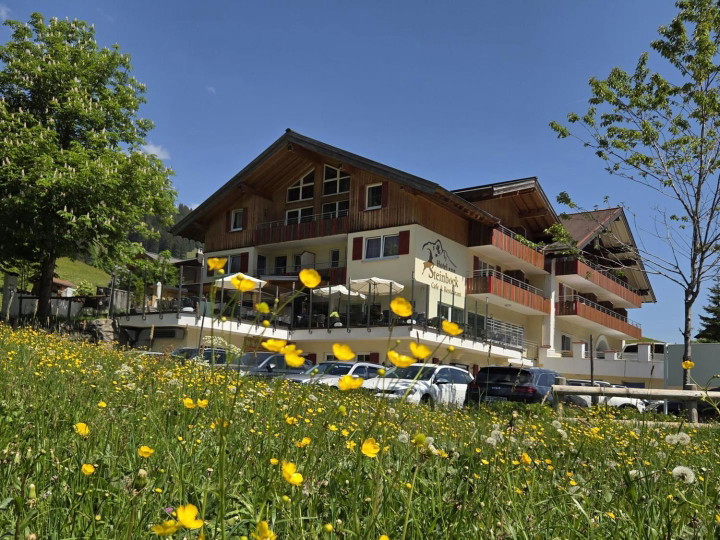 Hotel Steinbock - Riezlern