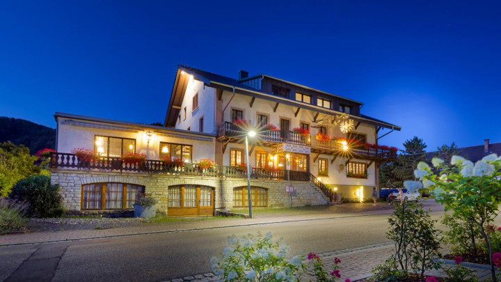 Hotel Gasthaus Adler - Fribourg-en-Brisgau