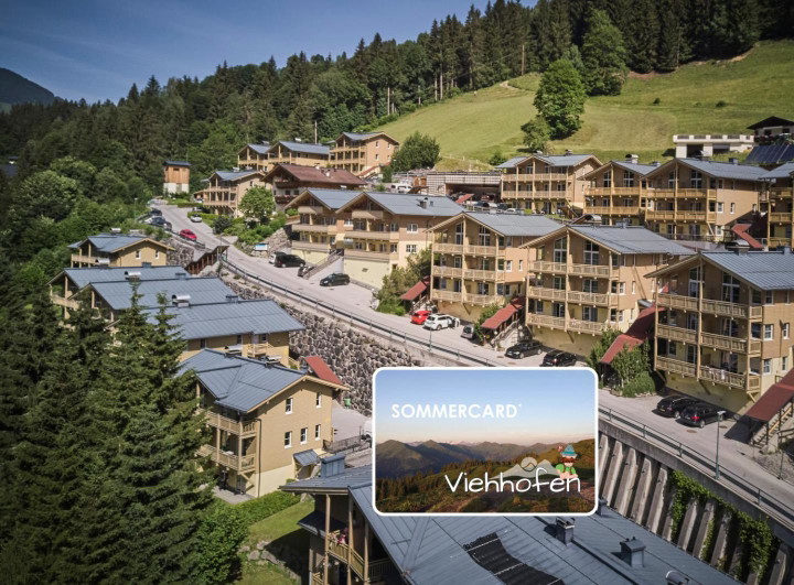 Alpenparks Apartment & Ferienresort Rehrenberg Viehhofen - Leogang