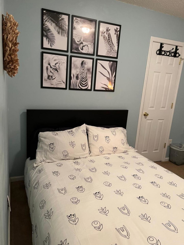 Hakuna Matata Hostel Shared Room - North Carolina