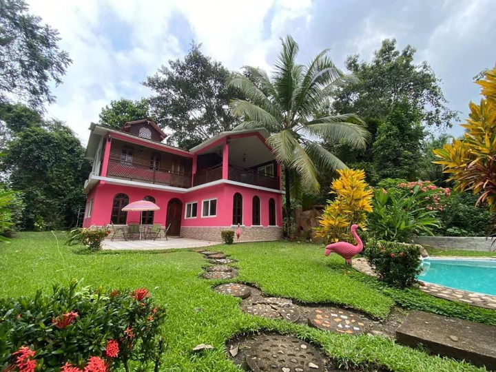 Casa Flamingo - Guatemala