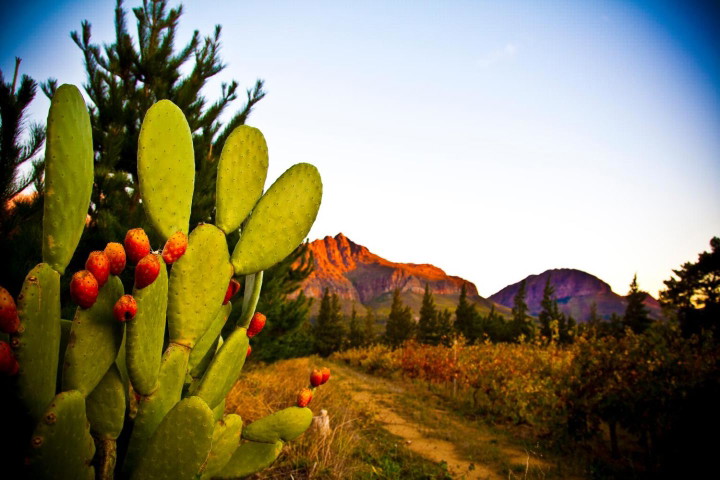 Modderkloof Farm Accommodation - Paarl
