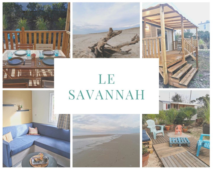 Le Savannah Au Ferret Climatisé Calme Cosy Avec Vayny - Lège-Cap-Ferret