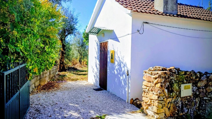 Tiny Cottage - Madeira