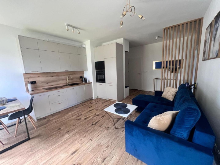 Apartament Royal - Katowice