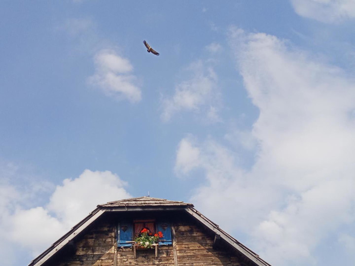 Planinarski Dom "Tornik" Zlatibor - Serbia