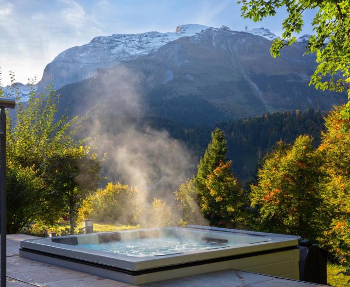 Hotel Waldegg - Adults Only - Engelberg