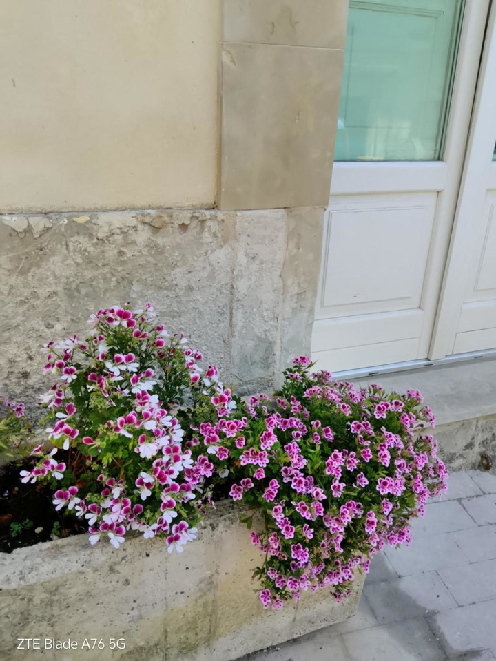 Casa Vacanze A Truatura - Chiaramonte Gulfi