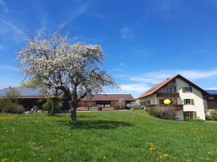 Bauer Haug - Isny im Allgäu