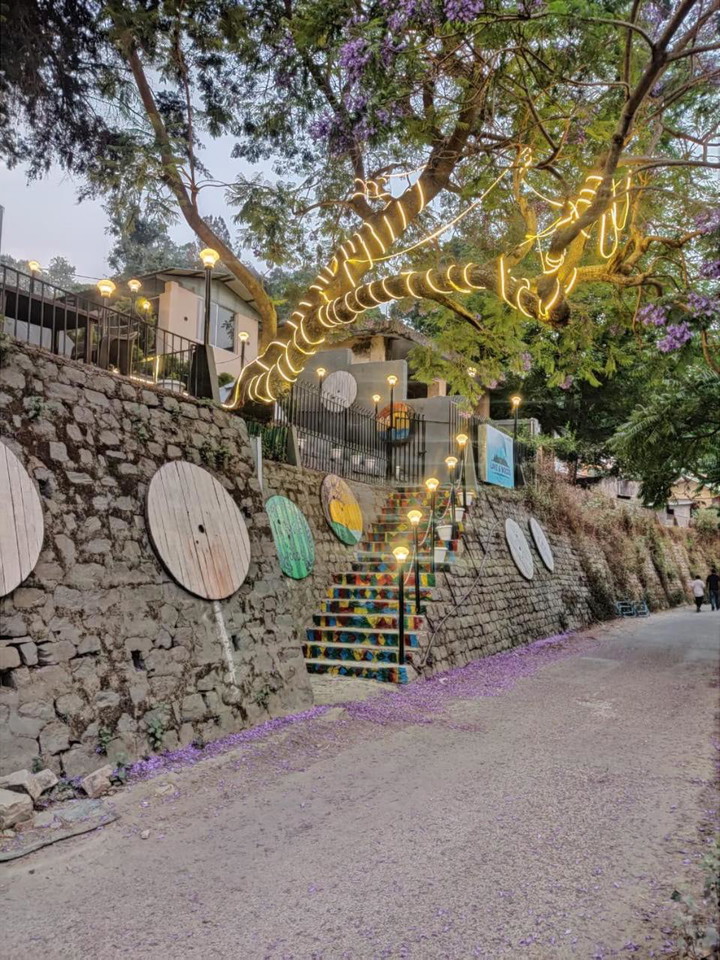 Lake & Woods - Nainital