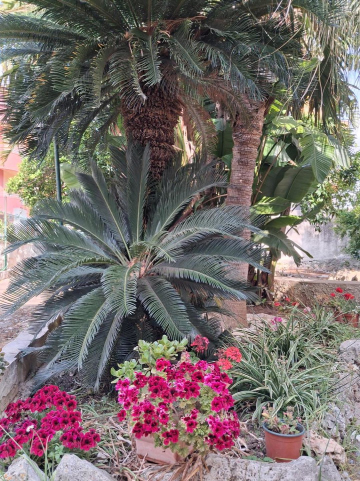 La Rugiada-con Giardino E Parcheggio Moto Privato - Alcamo