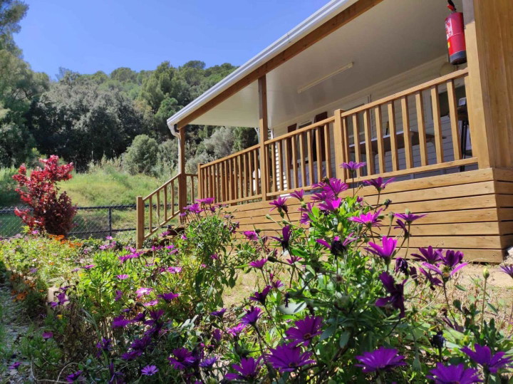 Holiday Home In Calella De La Costa 3641 - Calella