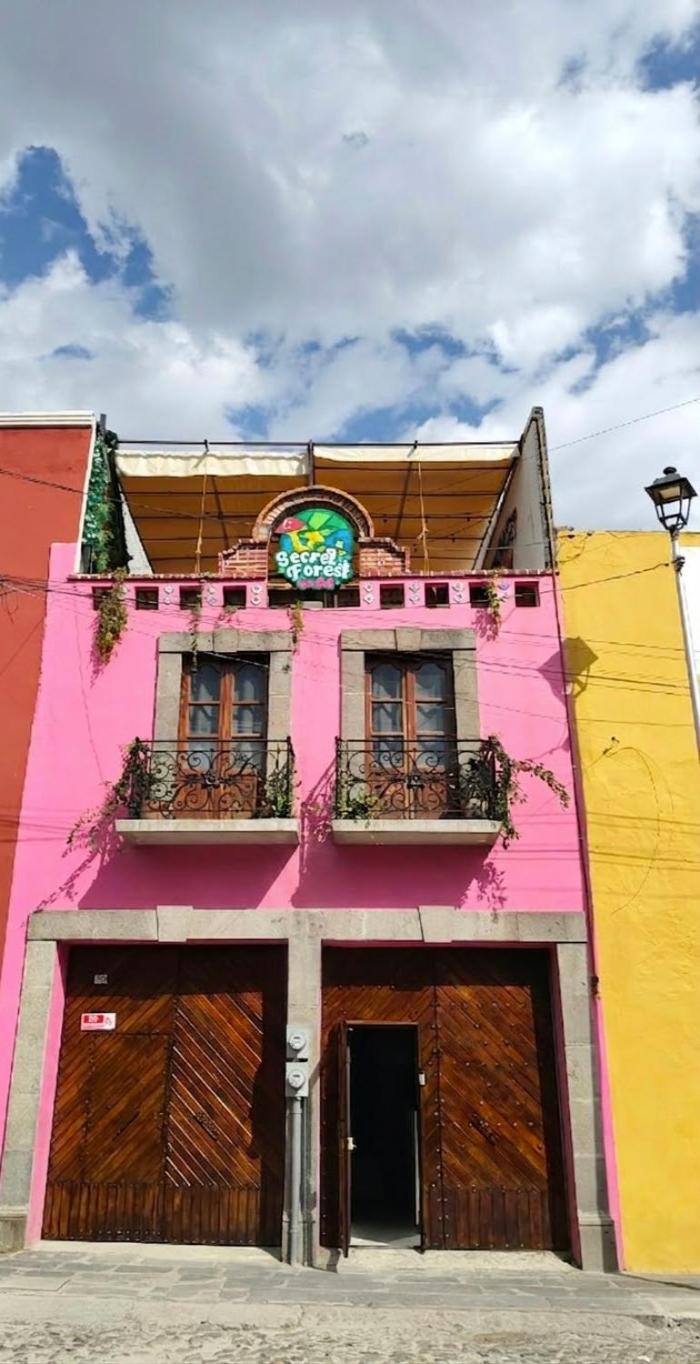 Secret Forest Hostal - Puebla