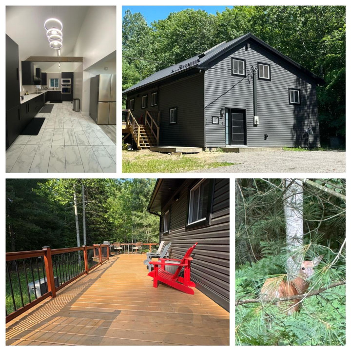 Charcoal Tree House - Gravenhurst