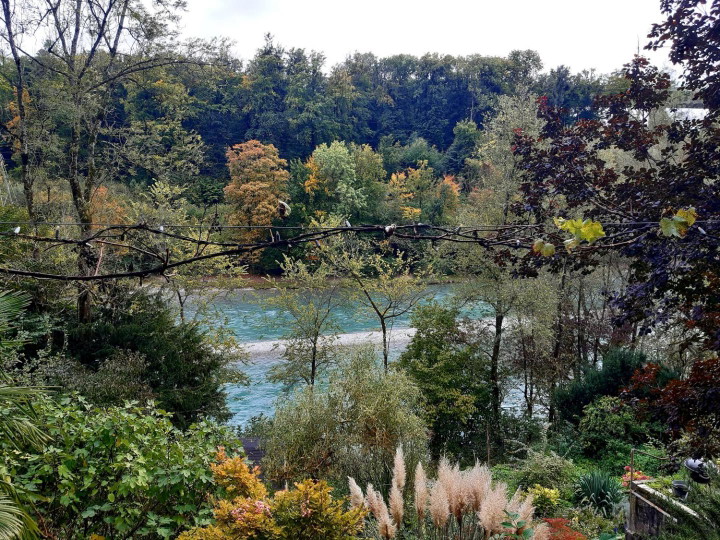 Aareggli - Bern
