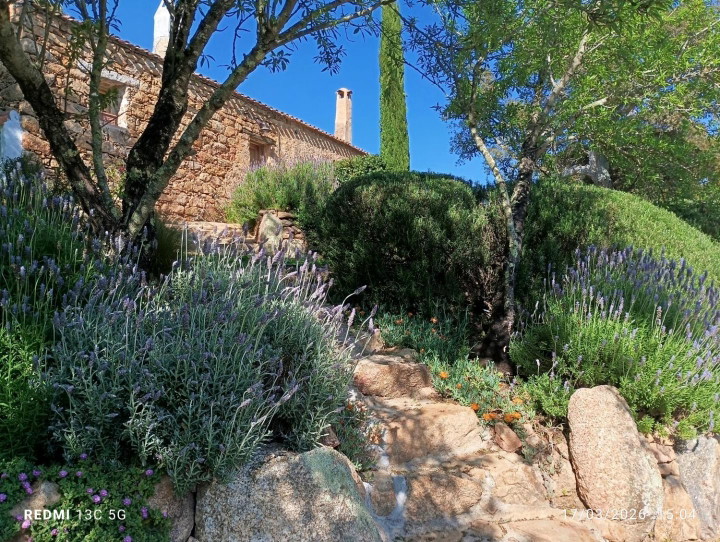 Holiday Home Su Niberalzu - Olbia