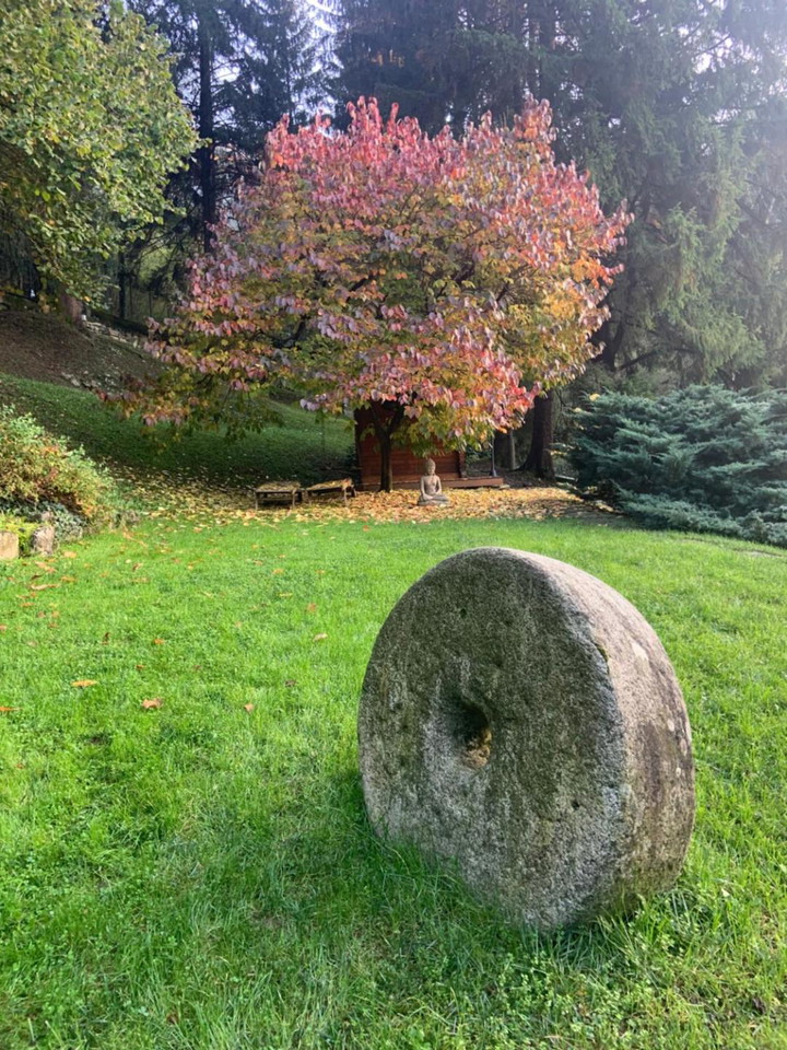 Il Mulino Di Valeria - Abbadia Lariana