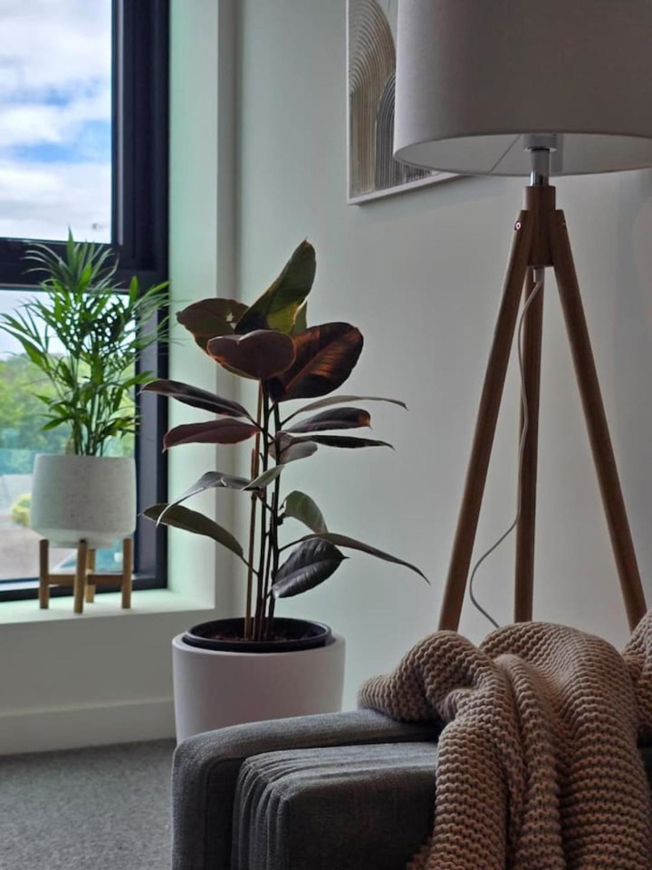 Modern 1br With Covered Balcony I Alphington I Fast Wifi I Free Parking I Walking To Alphington Train Station I Minutes To Melbourne Cbd - Melbourne