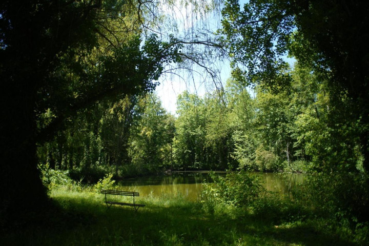 Les Grands Aulnes - Loiret