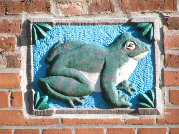 Apartments Im Froschhaus Mit Frühstücksküchen - Friedrichstadt