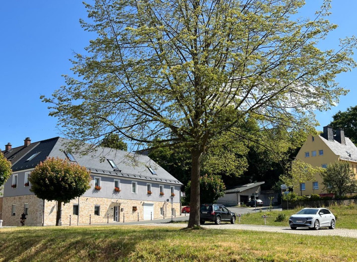 Ferienwohnungen Yanev - Hof