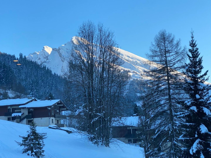 Les Bouquetins - La Clusaz