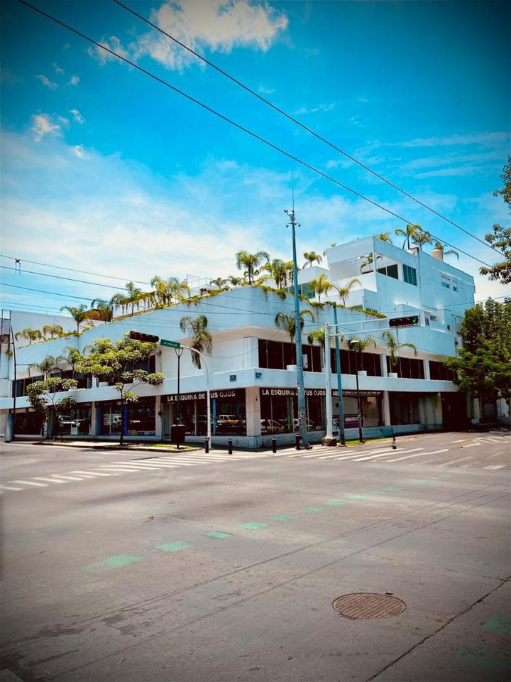 La Casa De Las Palmeras - Guadalajara