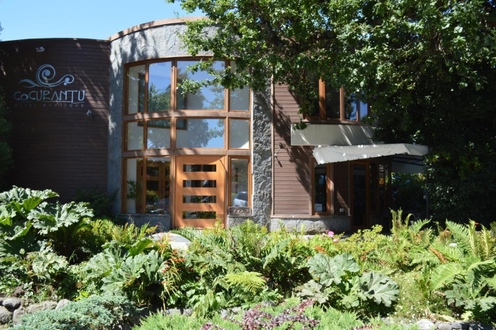 Cocurantu Hotel Boutique - Neuquen