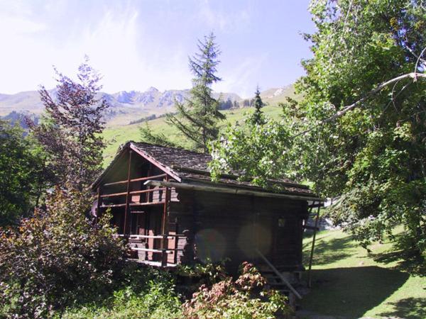 Mazot De L' Arche De Noé - Verbier