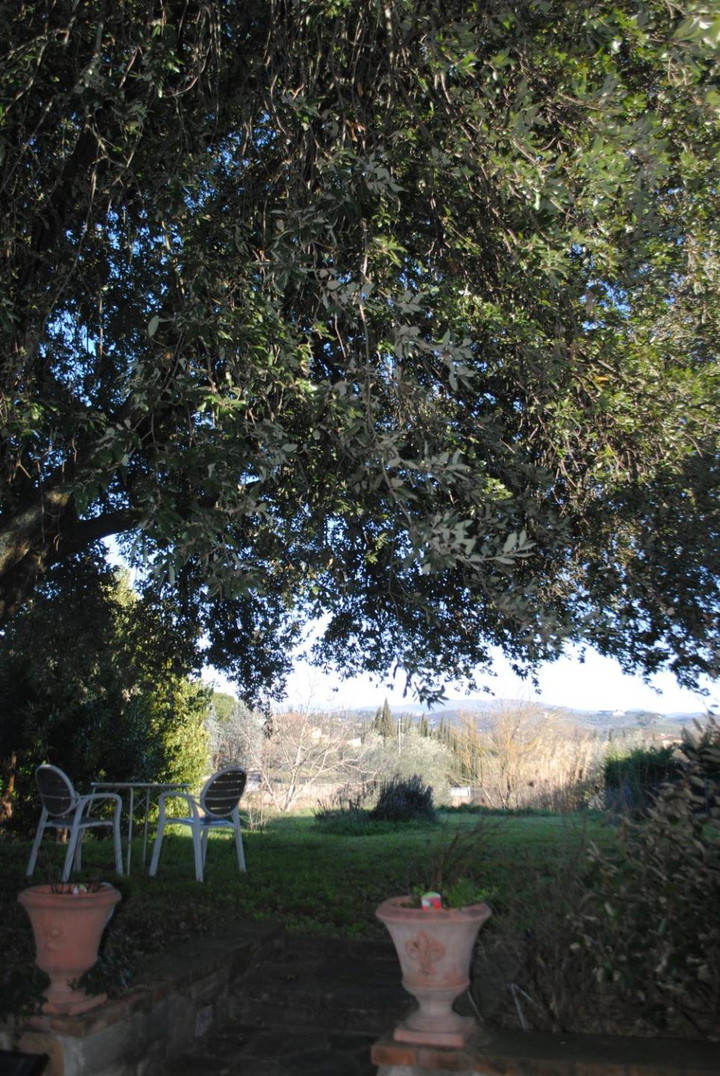 Fattoria Di Malavolta - Florencia