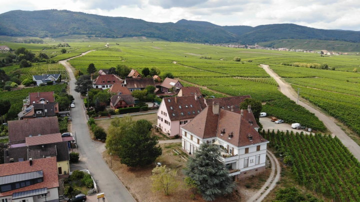 Gîtes Au Domaine Greiner - Kaysersberg